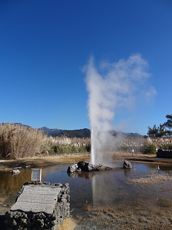» Napa – Old Faithful Geyser